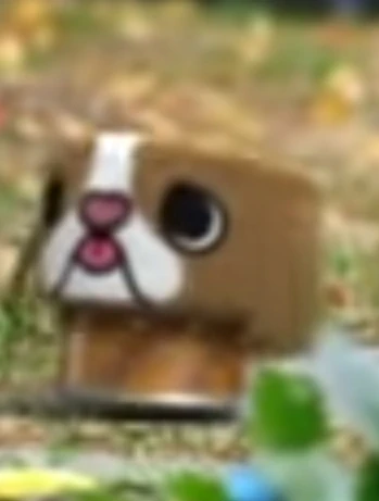 Ato | Canimals Wiki | Fandom