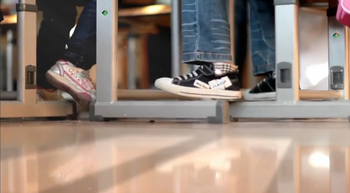 Classroom/Gallery | Canimals Wiki | Fandom