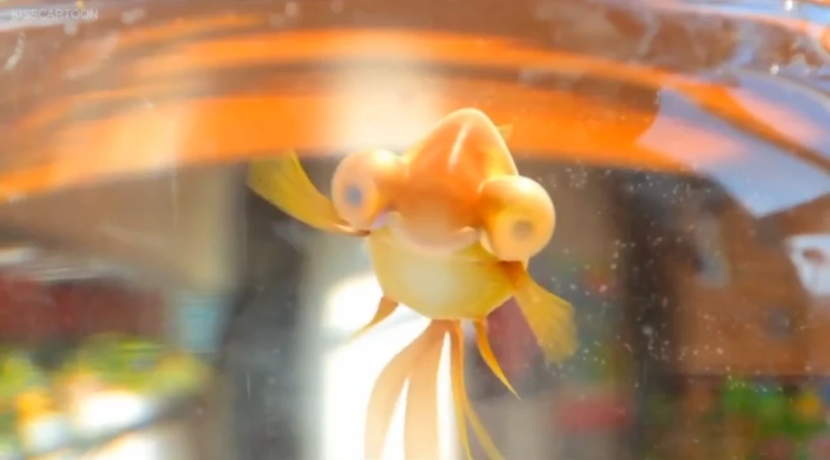 Cosmo | Canimals Wiki | Fandom