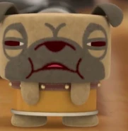 Uly/Gallery | Canimals Wiki | Fandom