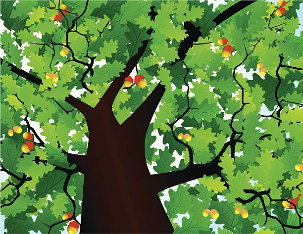 Quink Trees | The New Canon GODITY!Verse Wiki | Fandom