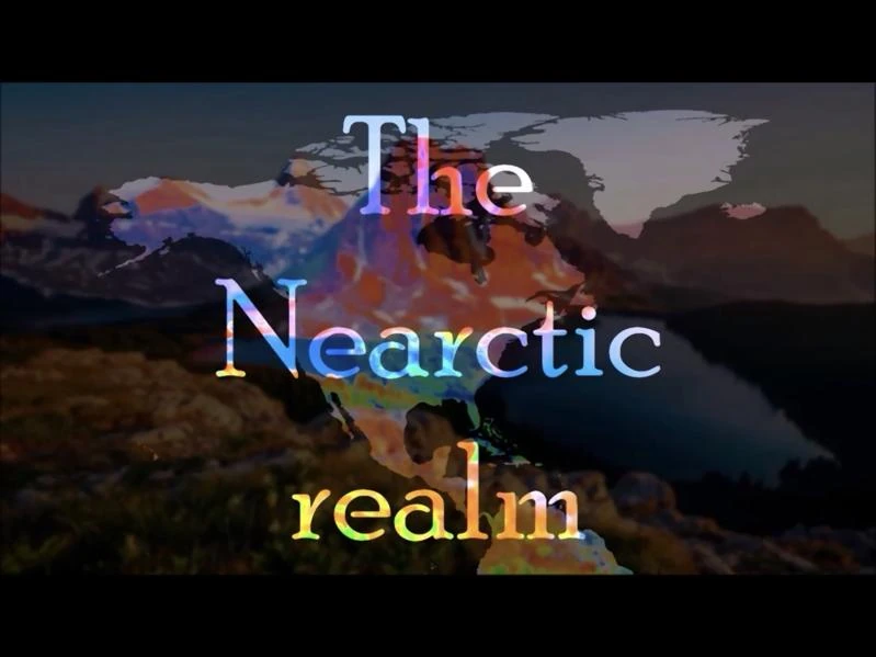 Category:Nearctic Realm | The New Dinosaurs Revised Wiki | Fandom