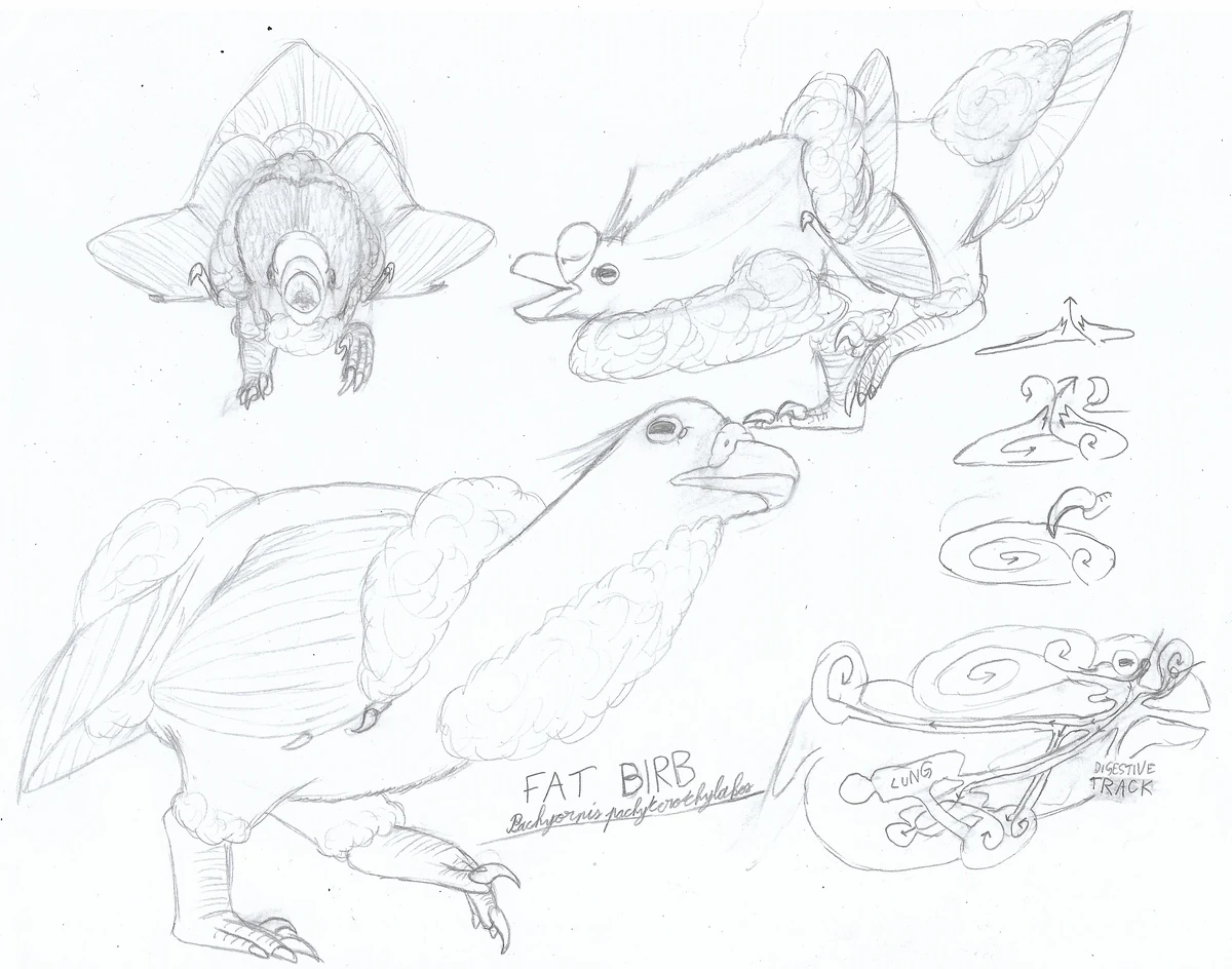 Fat Birb | The New Dinosaurs Revised Wiki | Fandom