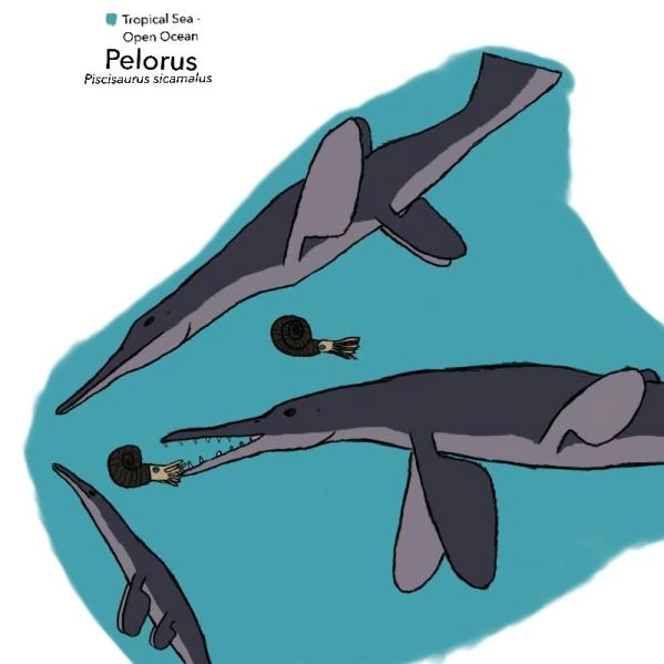 Pelorus | The New Dinosaurs Revised Wiki | Fandom