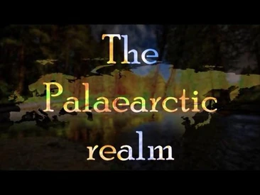 Category:Palaearctic Realm | The New Dinosaurs Revised Wiki | Fandom