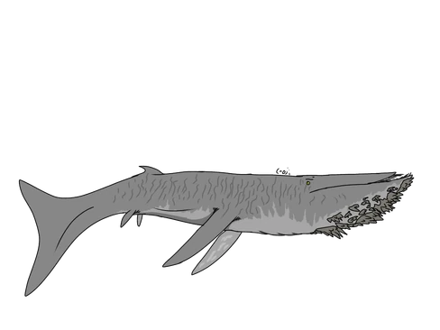 Mosasauria | The New Dinosaurs Wiki | Fandom