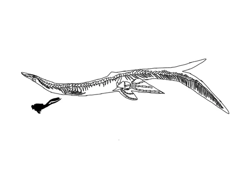 Mosasauria | The New Dinosaurs Wiki | Fandom