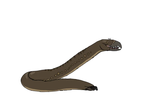 Hesperornithes | The New Dinosaurs Wiki | Fandom