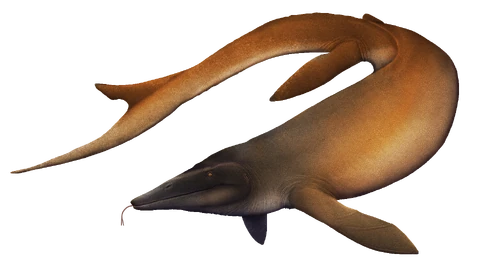 Mosasauria | The New Dinosaurs Wiki | Fandom