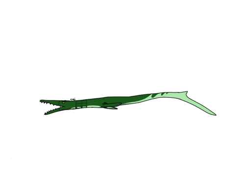 Mosasauria | The New Dinosaurs Wiki | Fandom