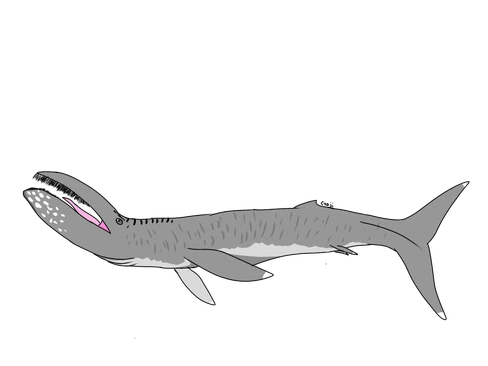 Mosasauria | The New Dinosaurs Wiki | Fandom