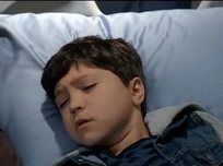 Scott McCall | Wiki The new generation | Fandom