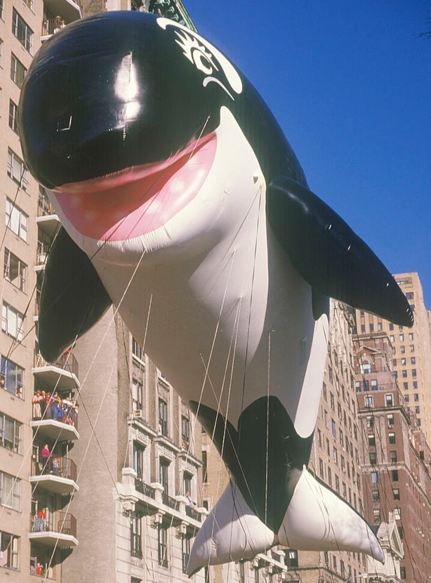 Baby Shamu (Fan-Made) | The New Macy's Parade Wikia | Fandom