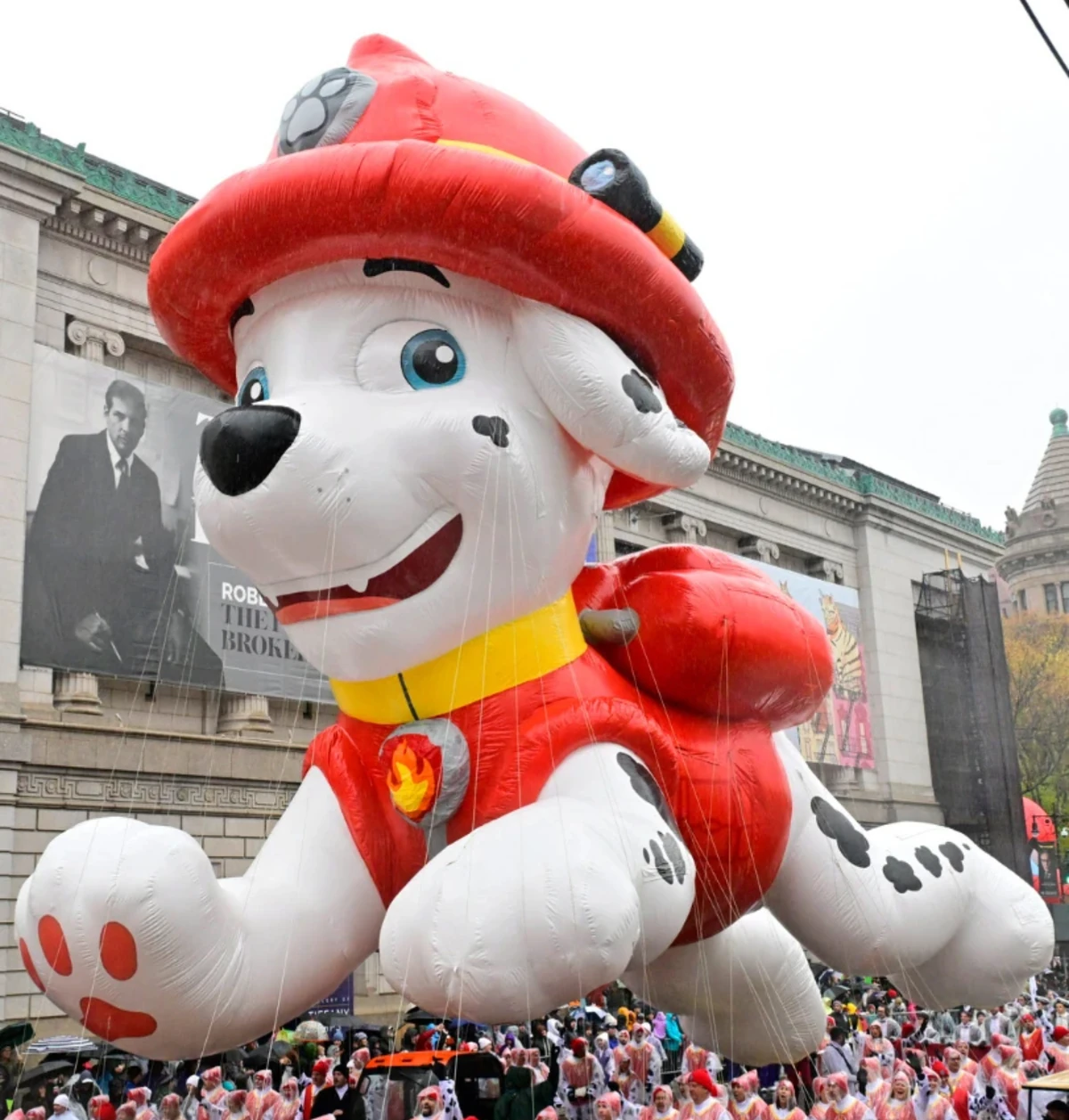 Marshall from PAW Patrol | The New Macy's Parade Wikia | Fandom