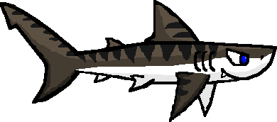 Striped fin Sharptooth | The New Noah & Sharky Wiki | Fandom