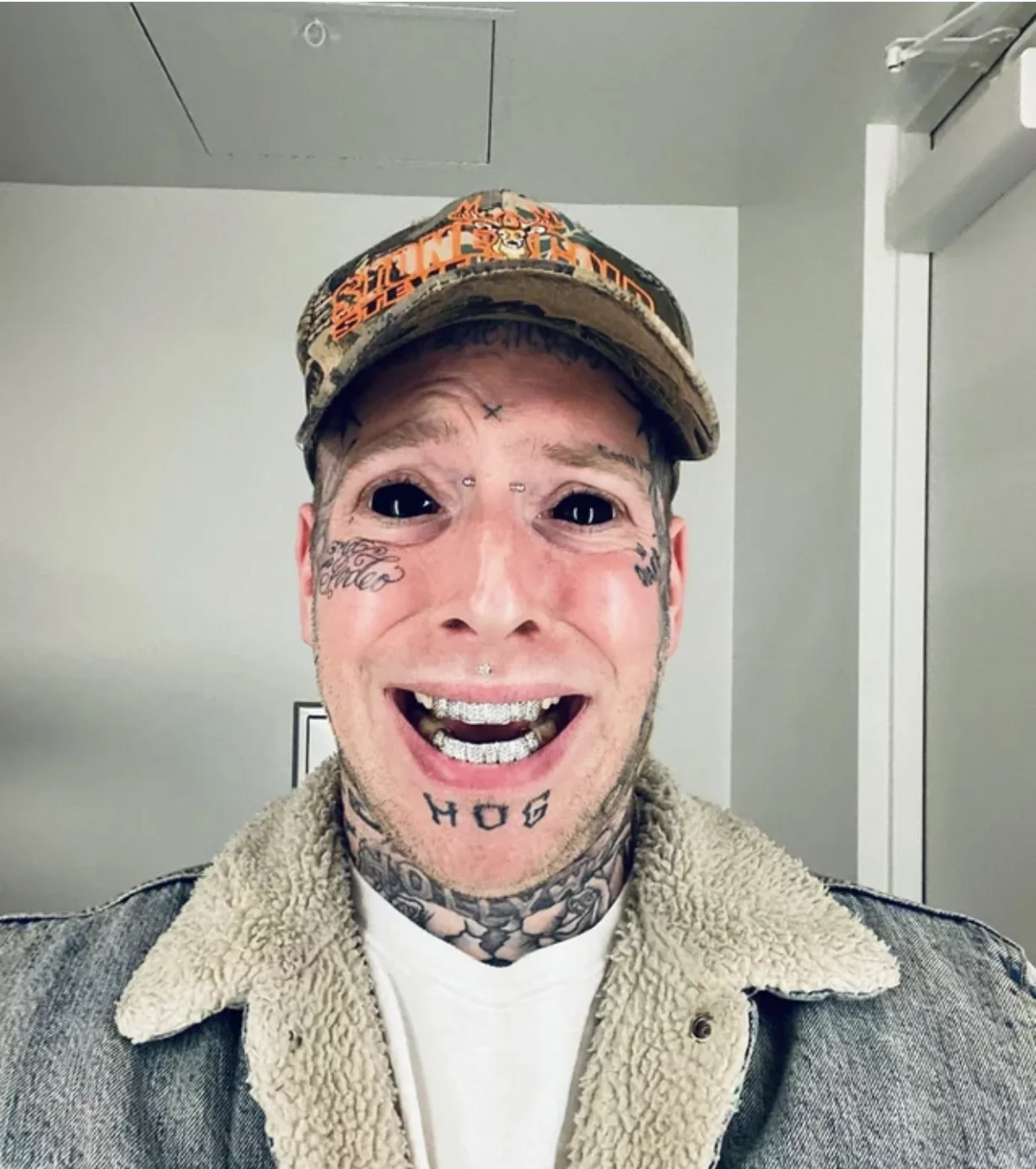 Tom Macdonald The New Norm Wiki Fandom 