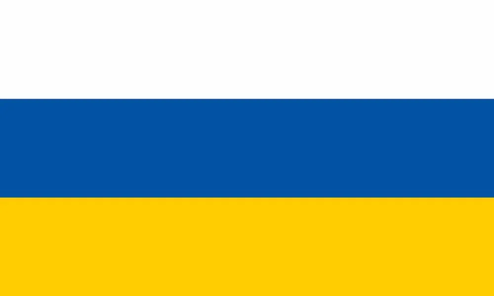 Provisional Authority of the Long Republic | The New Order: Last Days ...