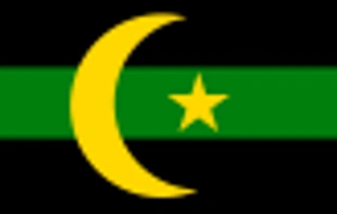 Military Authority of Zarmaland | The New Order: Last Days of Europe ...