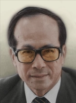 Li Ka-shing | The New Order: Last Days of Europe Wiki | Fandom