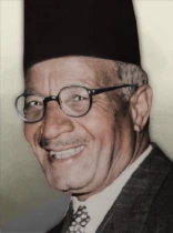 Hassan al-Hudaybi | The New Order: Last Days of Europe Wiki | Fandom