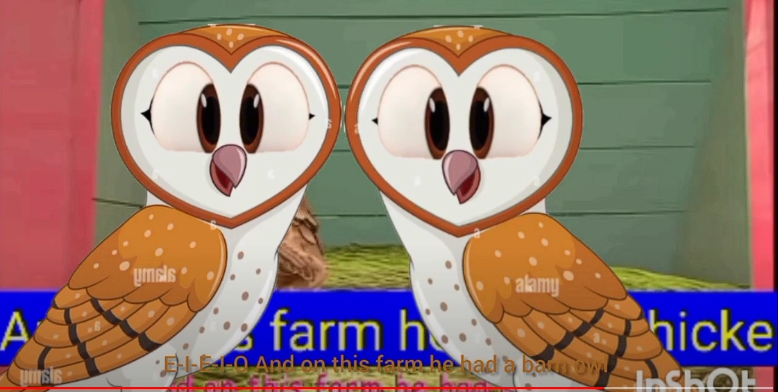 Barn Owls (Cocomelon) | The New Parody Wiki | Fandom