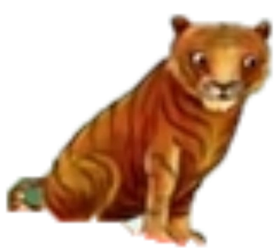 Tiger (Cocomelon) | The New Parody Wiki | Fandom