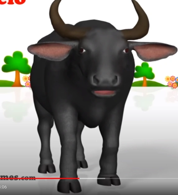 Buffalo Cvs 3D | The New Parody Wiki | Fandom