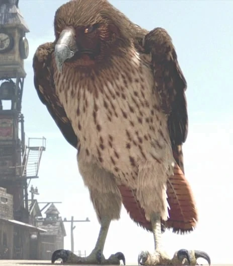 Hawk (Rango) | The New Parody Wiki | Fandom