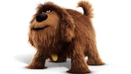 Duke (The Secret Life of Pets)/Gallery | The New Parody Wiki | Fandom