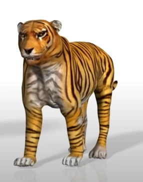 Tiger Cvs 3D | The New Parody Wiki | Fandom