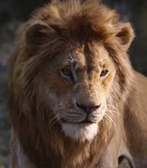 The Many Adventures Of Simba the Lion | The New Parody Wiki | Fandom