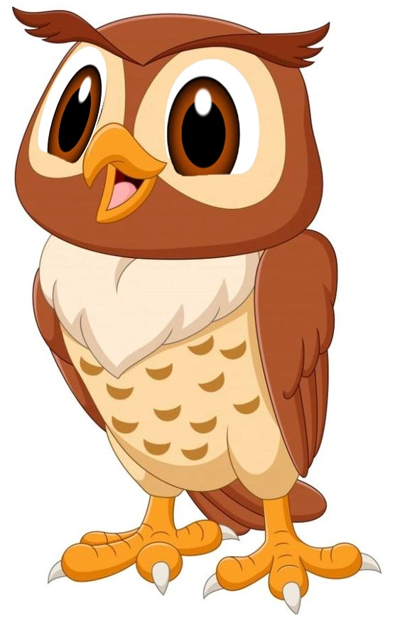 Owl 🦉 (CoComelon) | The New Parody Wiki | Fandom