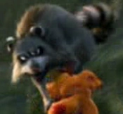 Raccoon (Barnyard) | The New Parody Wiki | Fandom