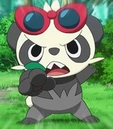 Pancham | The New Parody Wiki | Fandom