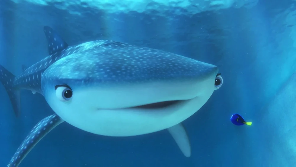 Destiny the Whale Shark | The New Parody Wiki | Fandom