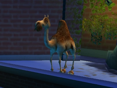 Nick the Camel | The New Parody Wiki | Fandom