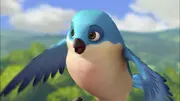 Bird | The New Parody Wiki | Fandom