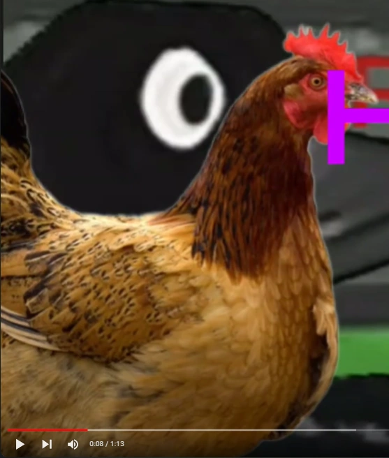 Hen (Cocomelon) | The New Parody Wiki | Fandom