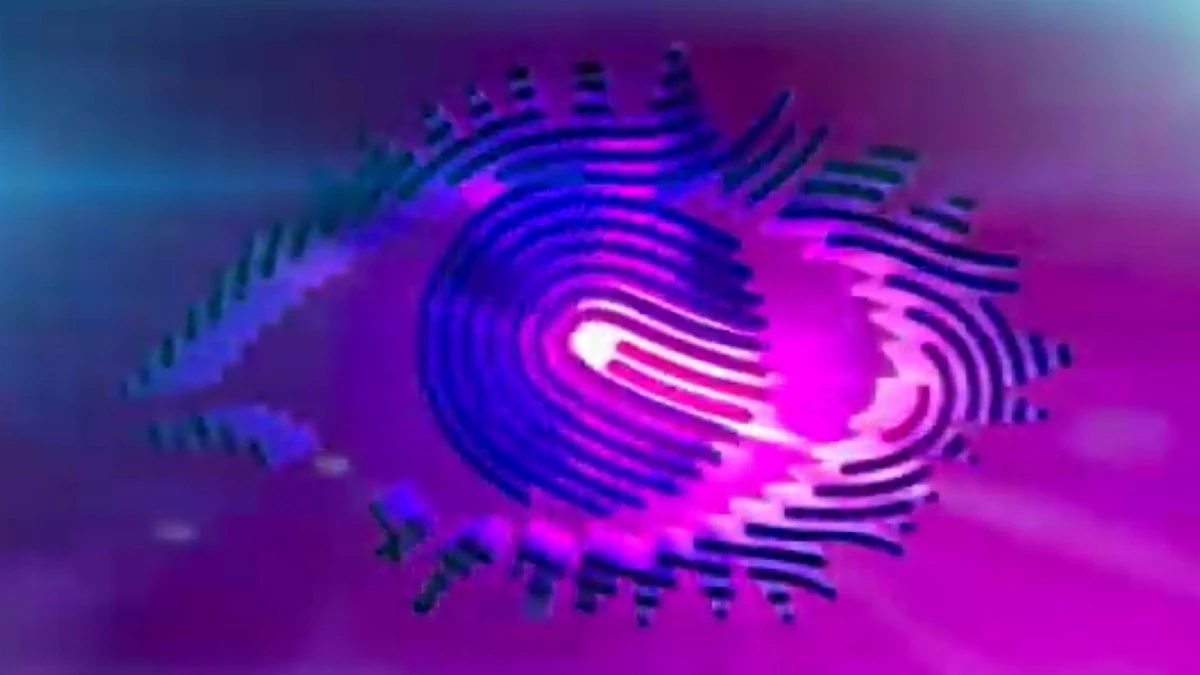 Big Brother (British TV series) series 10 | The New Scratchpad III Wiki ...