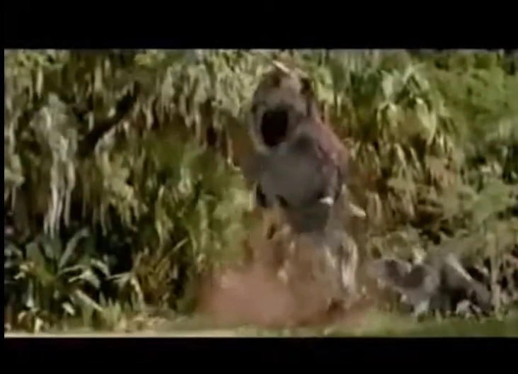 List of stock footage in promos | The New Scratchpad Wiki | Fandom