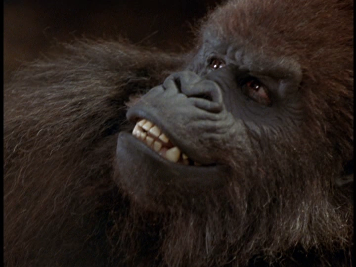 List of alternate shots in trailers | The New Scratchpad Wiki | Fandom