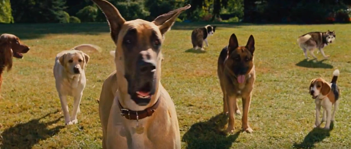 List of The Premiere Edition sound effects in Marmaduke (2010) | The ...