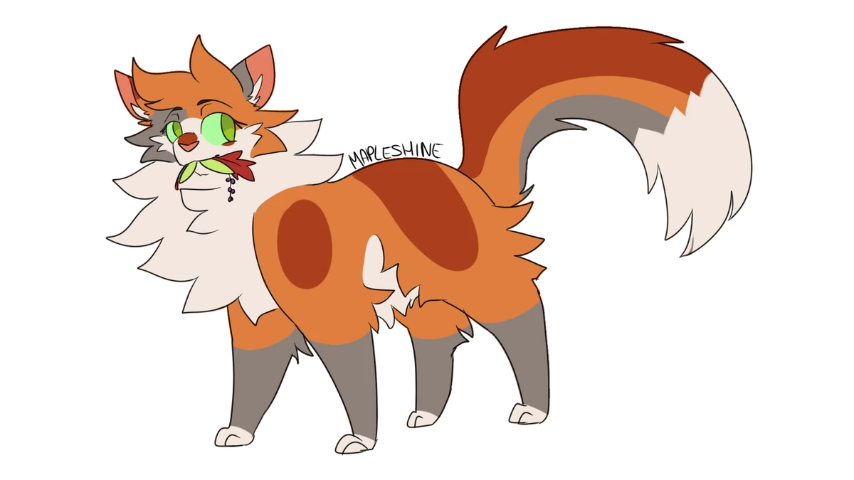 Mapleshine | The new Stars Wiki | Fandom