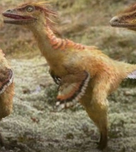 Hesperonychus | The new walking with Wiki | Fandom