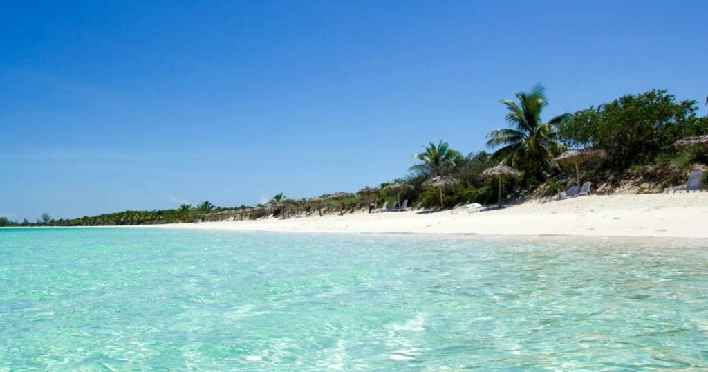 The Cuban sea | The News Dinosaurs (Caratrox Version) Wiki | Fandom