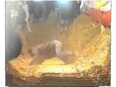 Roger Thrust - Stair Falling Record | The News Huddlines Wiki | Fandom