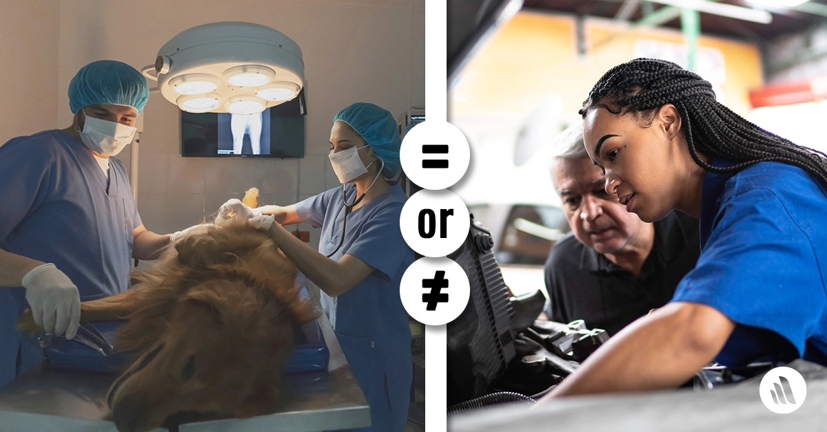 Mechanics as Vets | The News Huddlines Wiki | Fandom