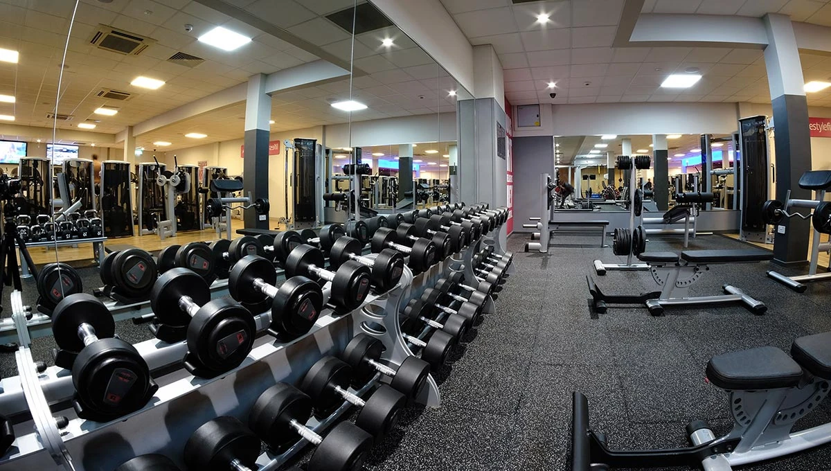 Fanfiction:The Gym | The Next Step Wiki | Fandom