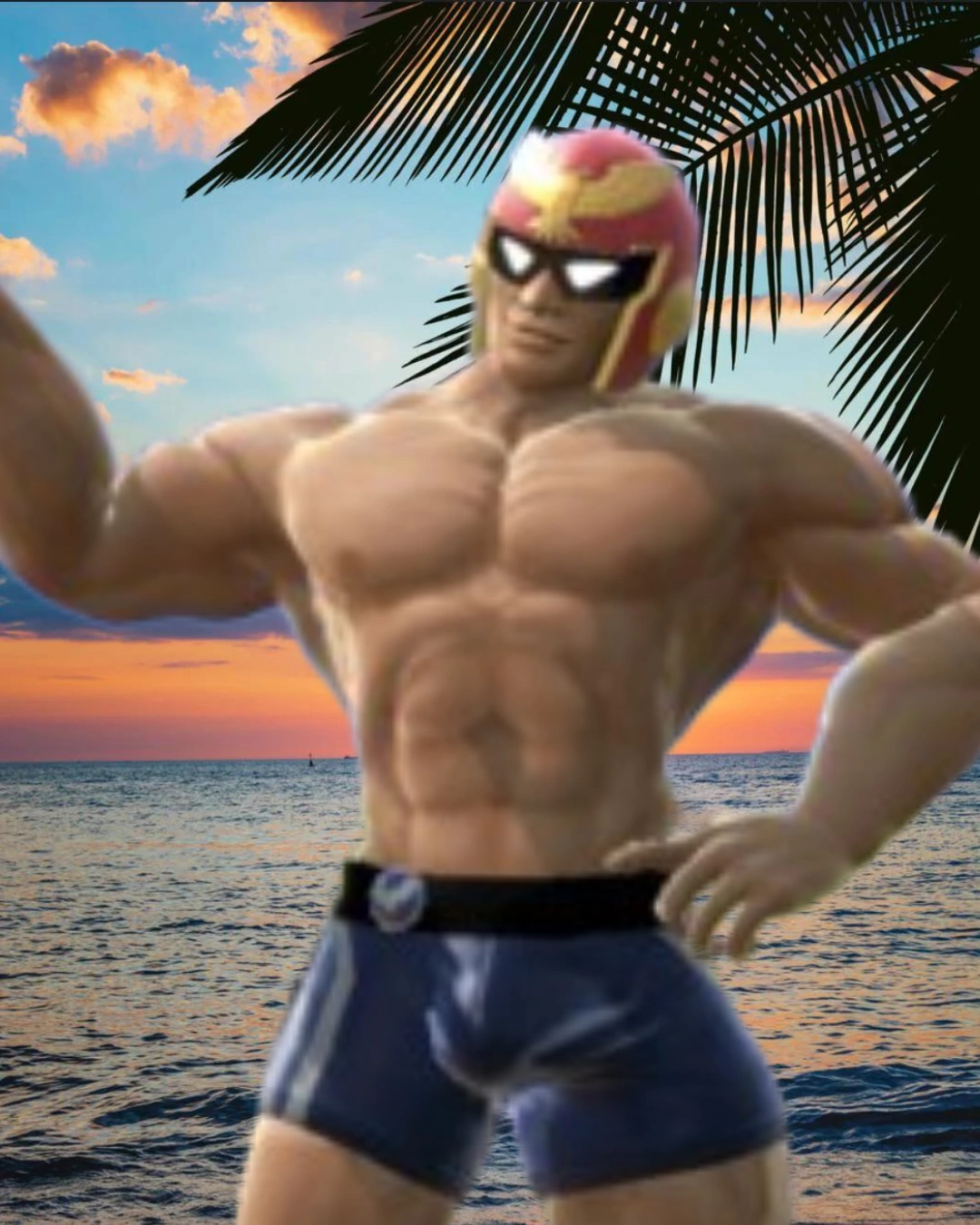 Captain Falcon | The Nintendo Challenge Wiki | Fandom