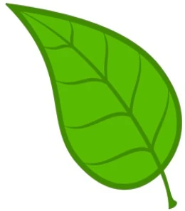 Leaf | The Normal Series Wiki | Fandom